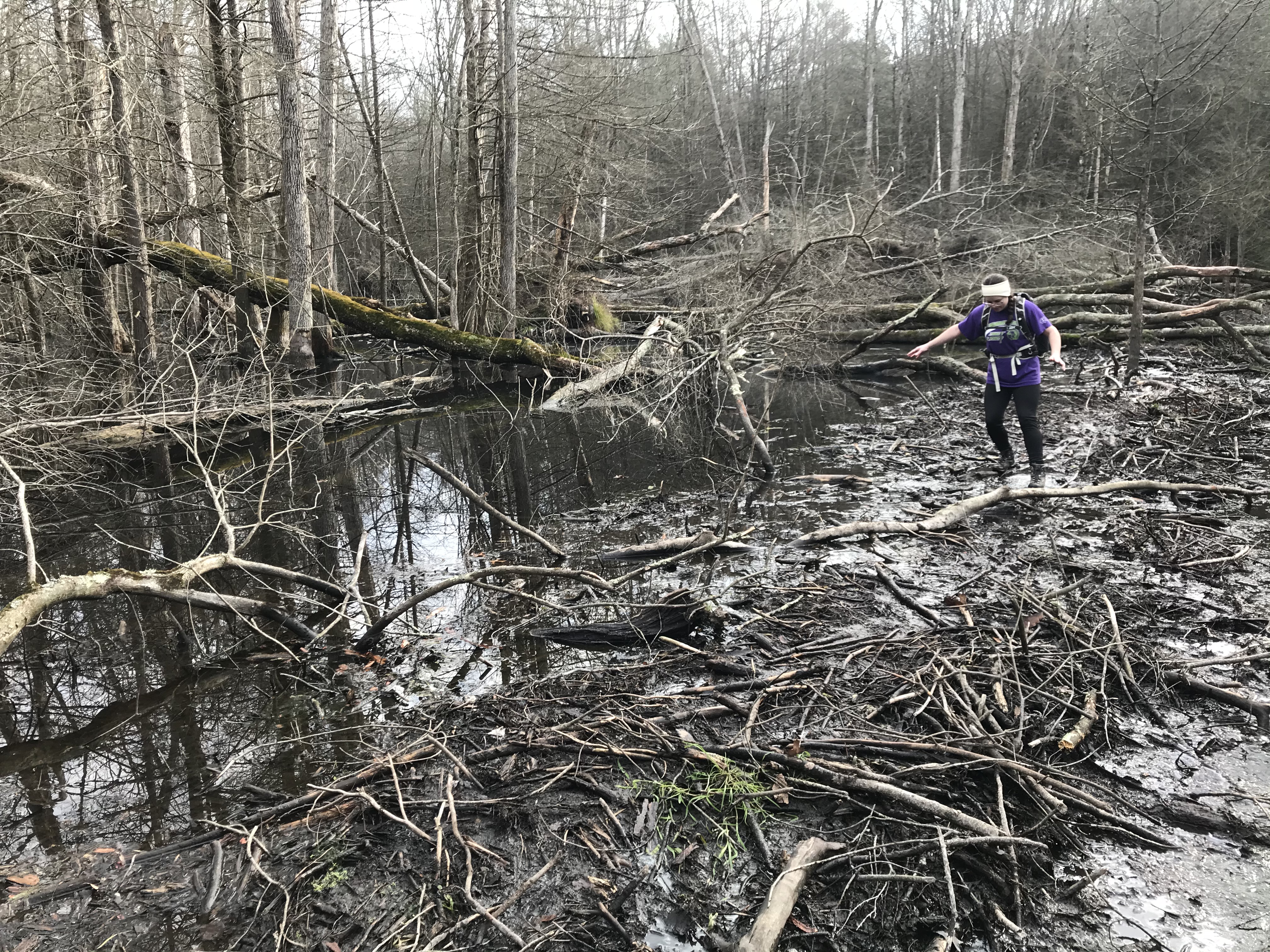 Signs of Animals on the Trail: Beaver, Deer, Turkey – Nomadic Endurance