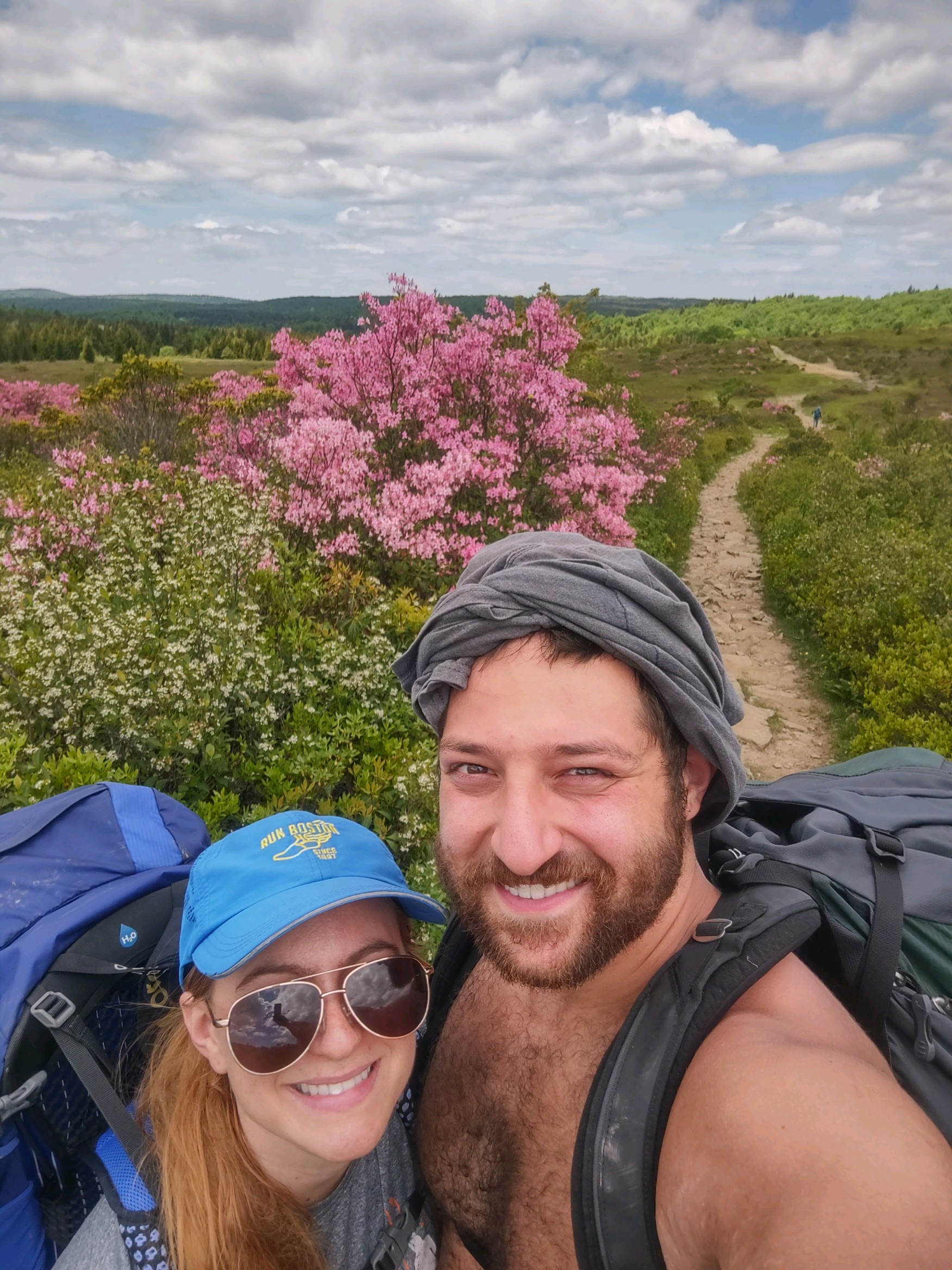 Dolly Sods Wilderness Backpacking – Nomadic Endurance